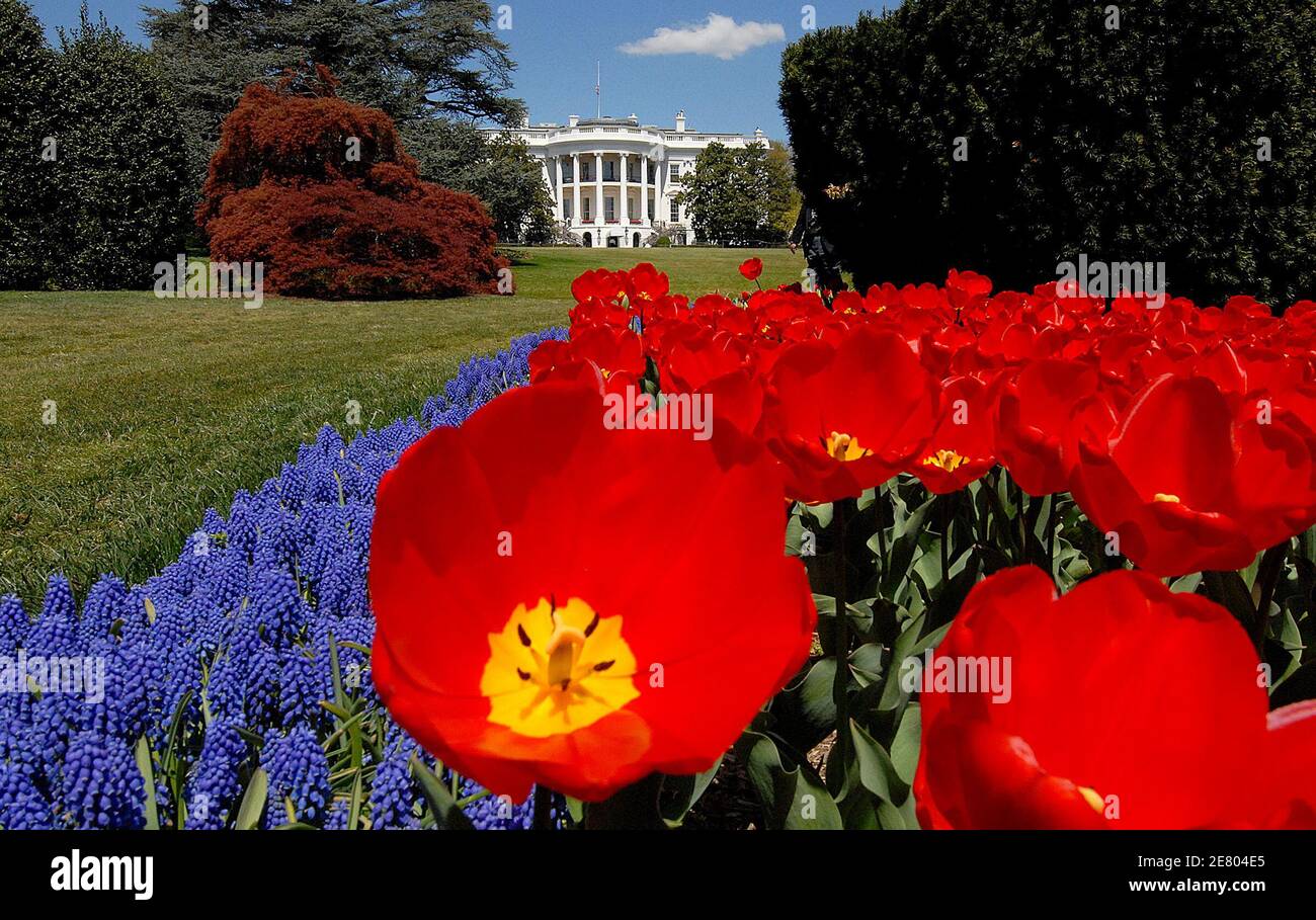 Inside the white house tour washington hi-res stock photography and ...