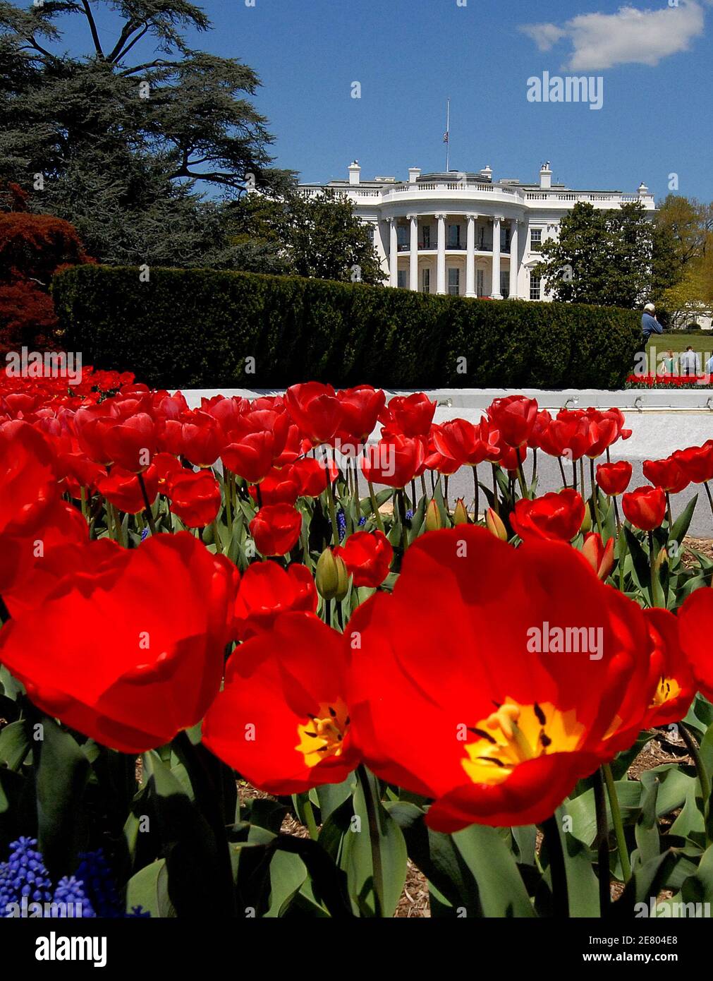 Inside look of the garden of the White House during a media preview of ...