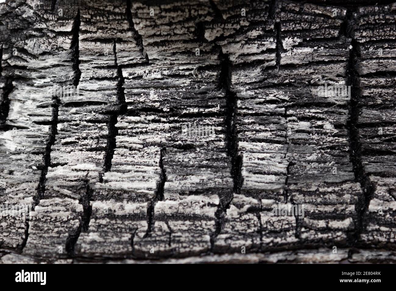 Burned wood, gray beautiful ash - background, texture close up Stock ...