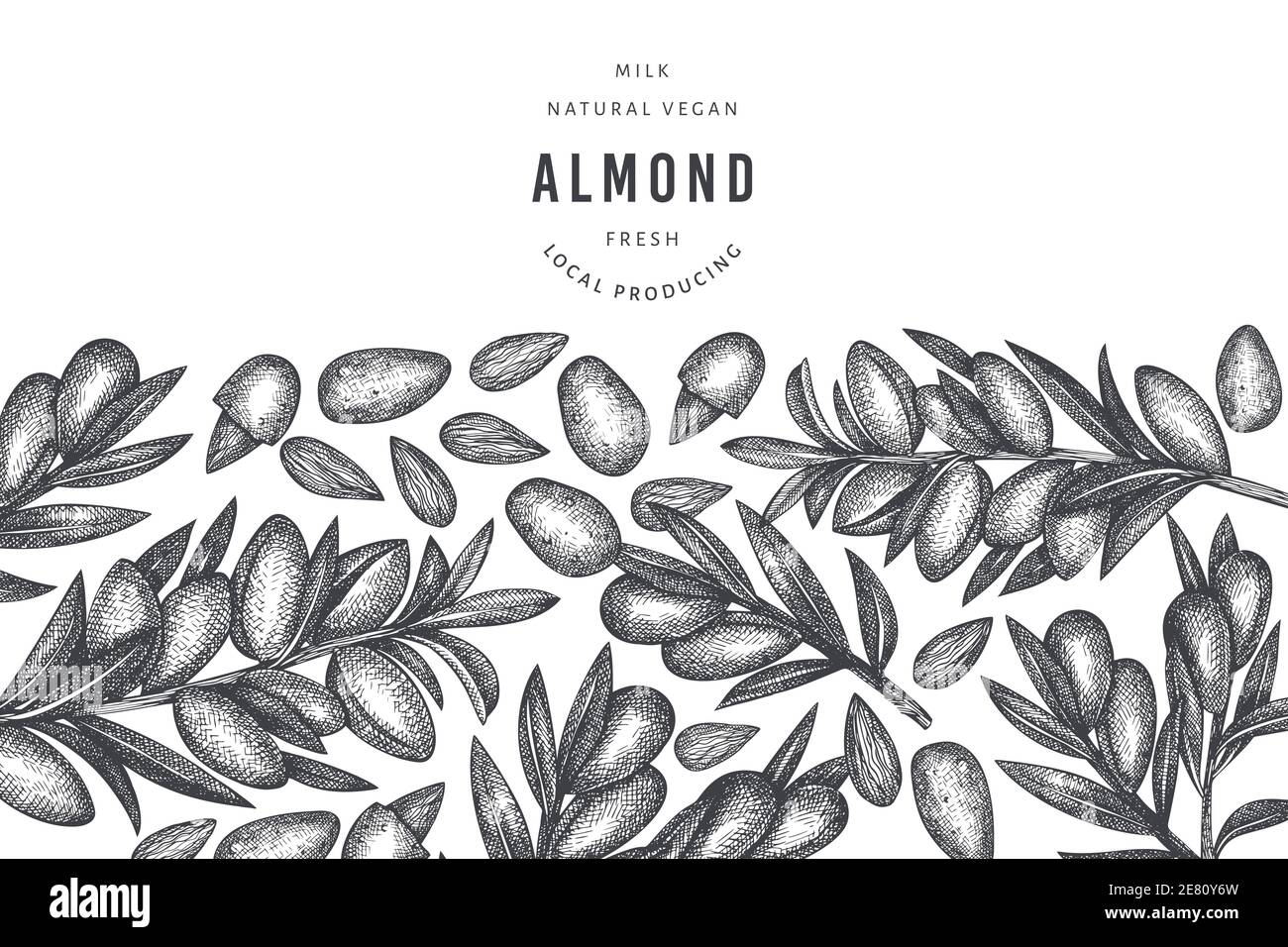Hand drawn sketch almond design template. Organic food vector ...