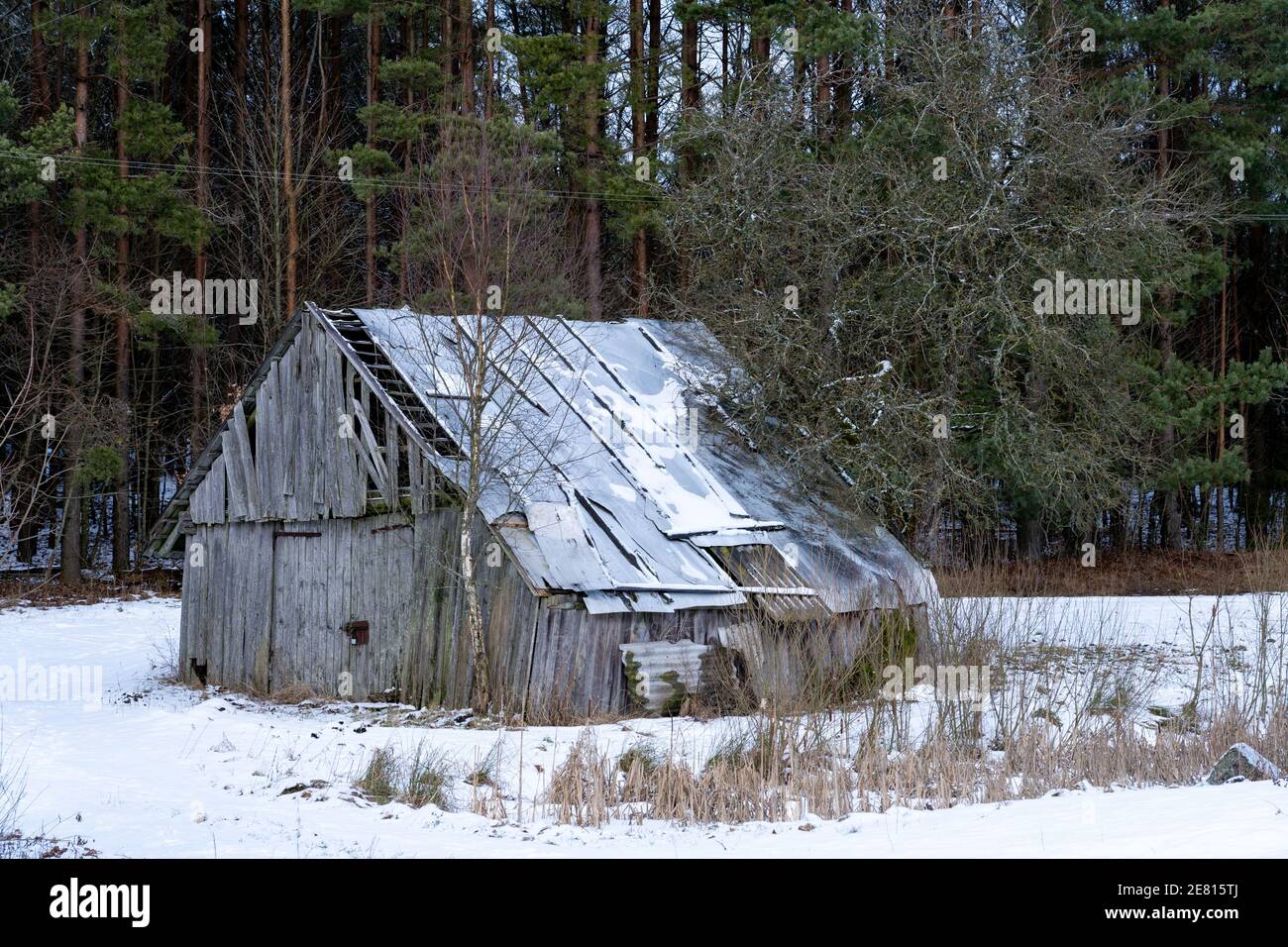 Old destroyed barn on hi-res stock photography and images - Alamy