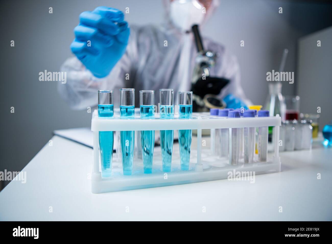 Close-up of scientists hand in blue latex gloves examines samples ...