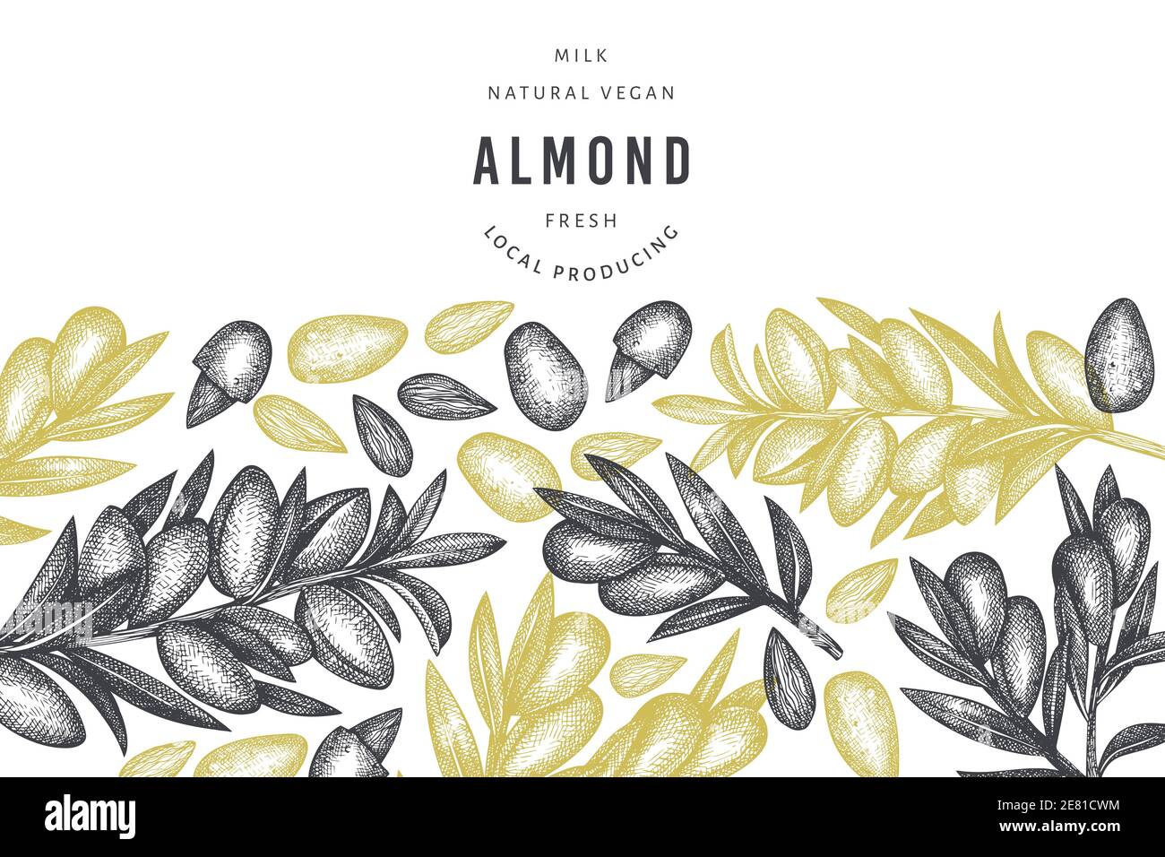 Hand drawn sketch almond design template. Organic food vector ...