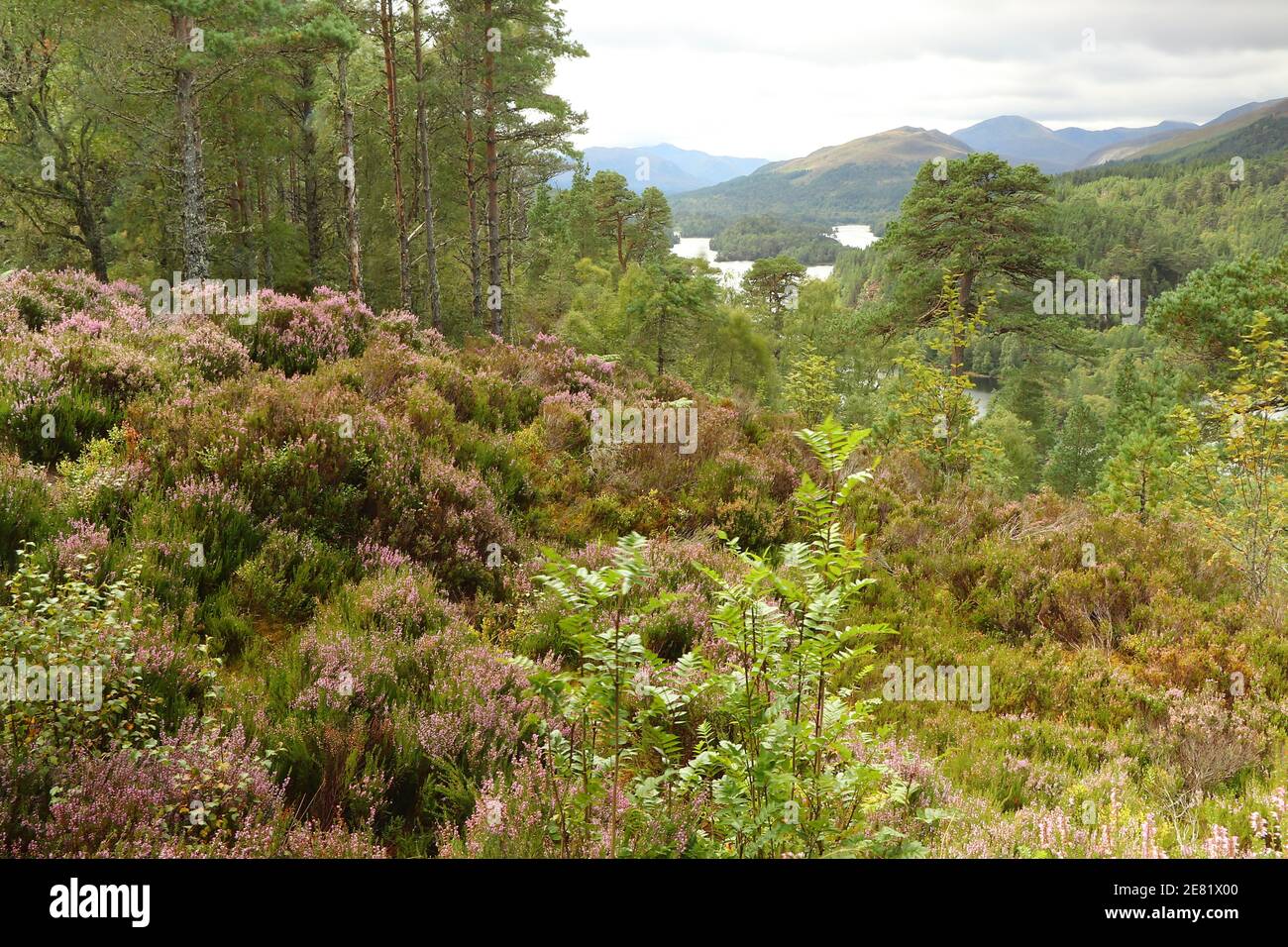 Struy scotland hi-res stock photography and images - Alamy