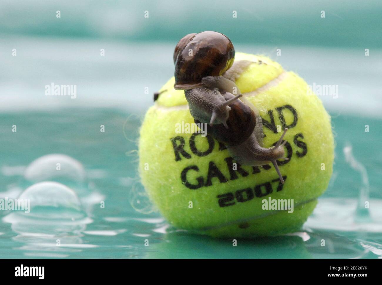 Ilustration of Snails at the Tennis French Open at Roland Garros arena ...