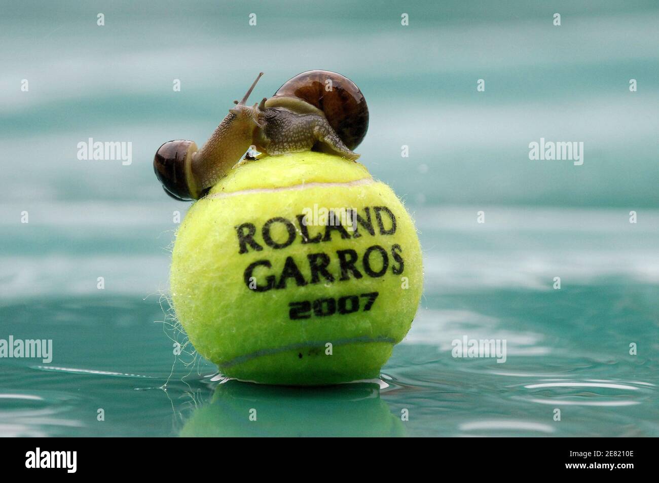 Ilustration of Snails at the Tennis French Open at Roland Garros arena ...