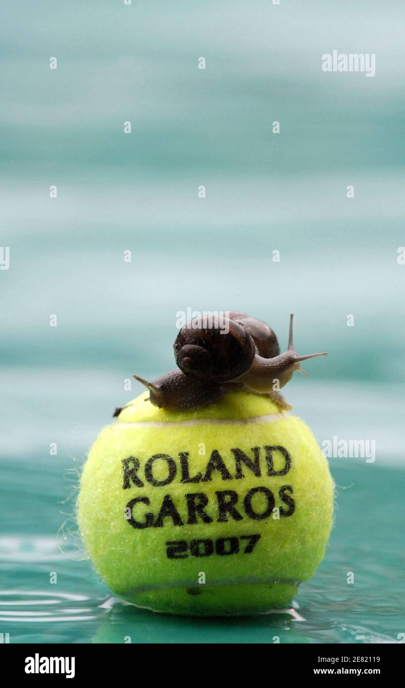 Ilustration of Snails at the Tennis French Open at Roland Garros arena ...