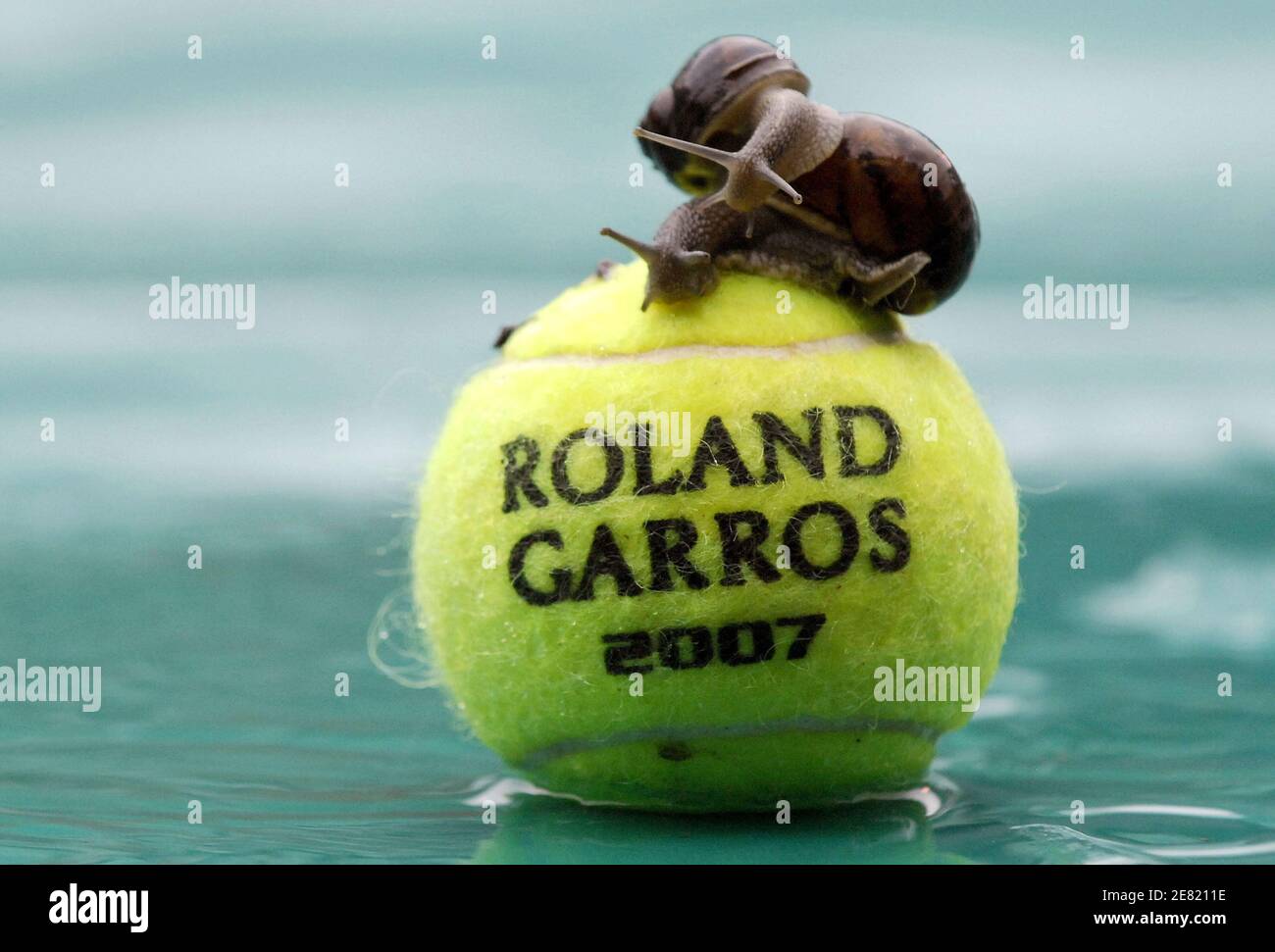 Ilustration of Snails at the Tennis French Open at Roland Garros arena ...