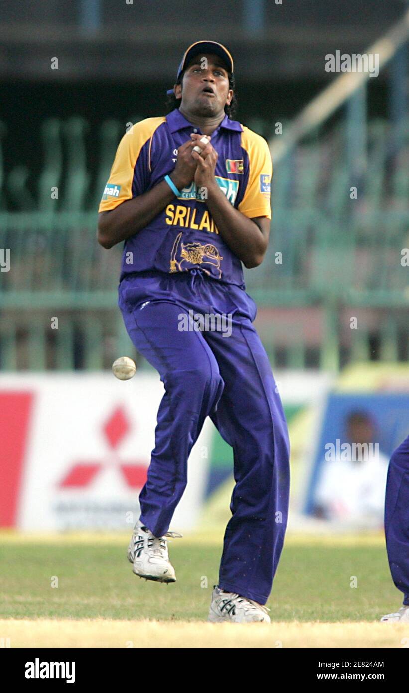 Cricket catch drop hi-res stock photography and images - Alamy