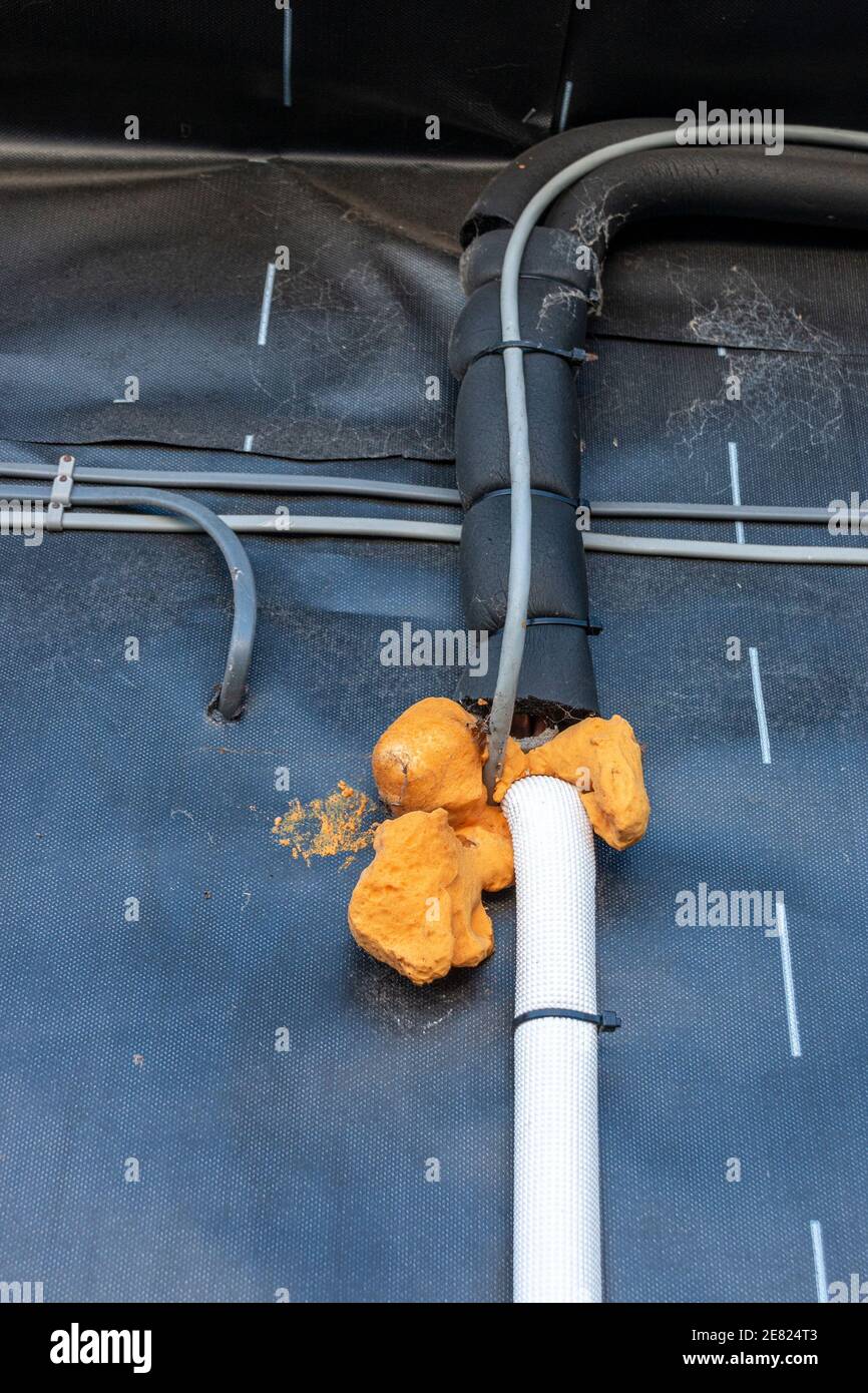 Foam up hi-res stock photography and images - Alamy