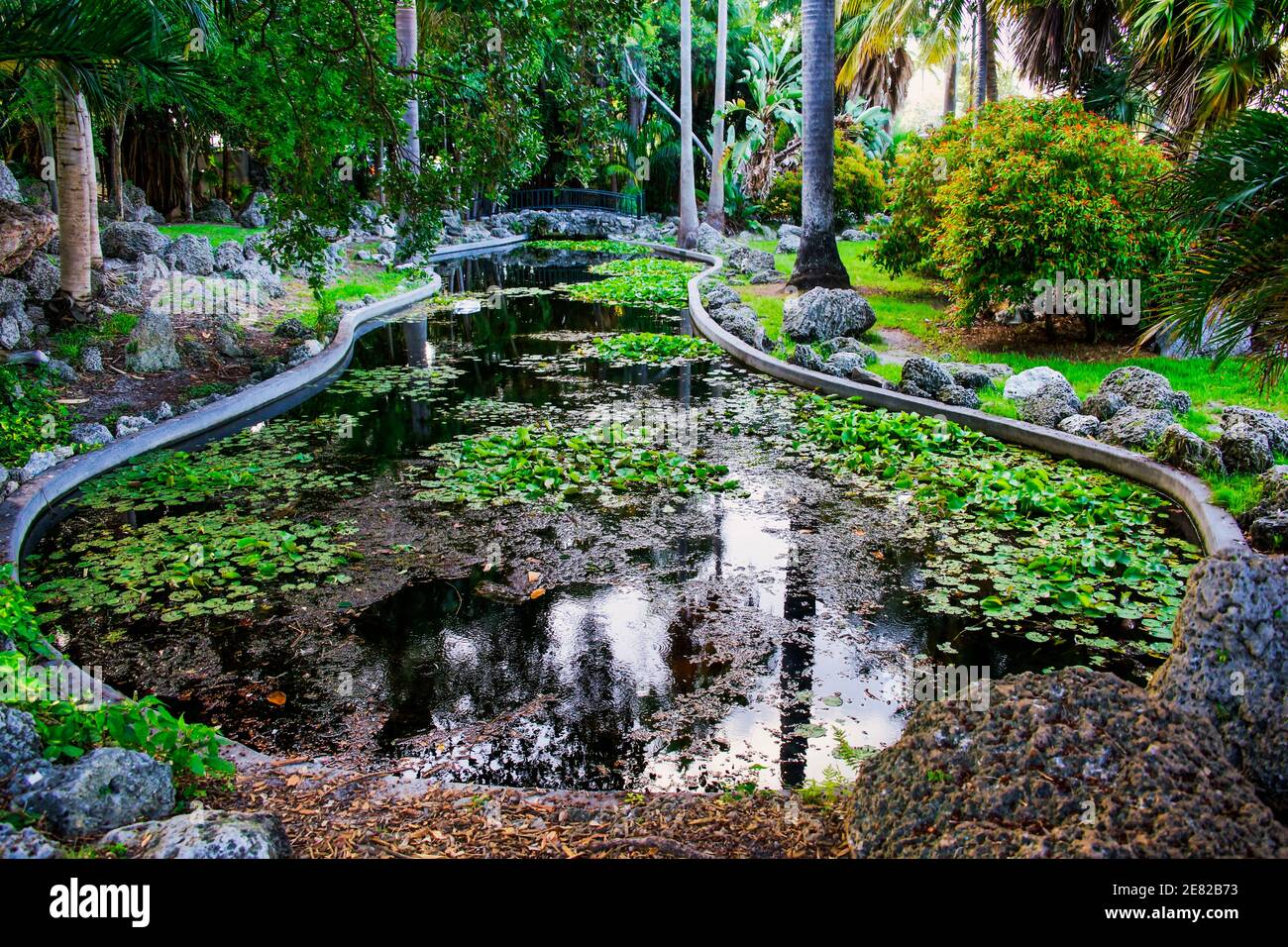 The lilly pond in Bayfront Park in Miami, Florida Stock Photo - Alamy