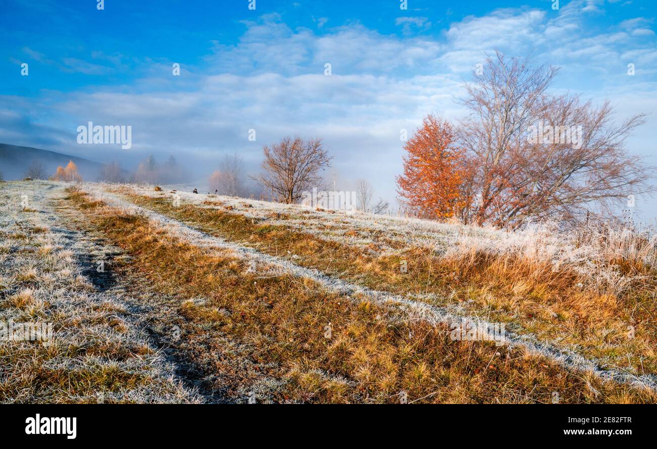 Frozen road covered with white frost against the backdrop of a ...