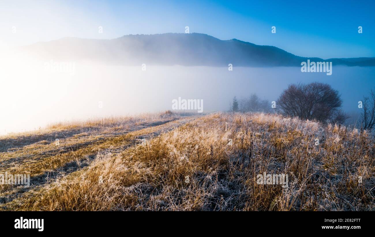 Frozen road covered with white frost against the backdrop of a ...