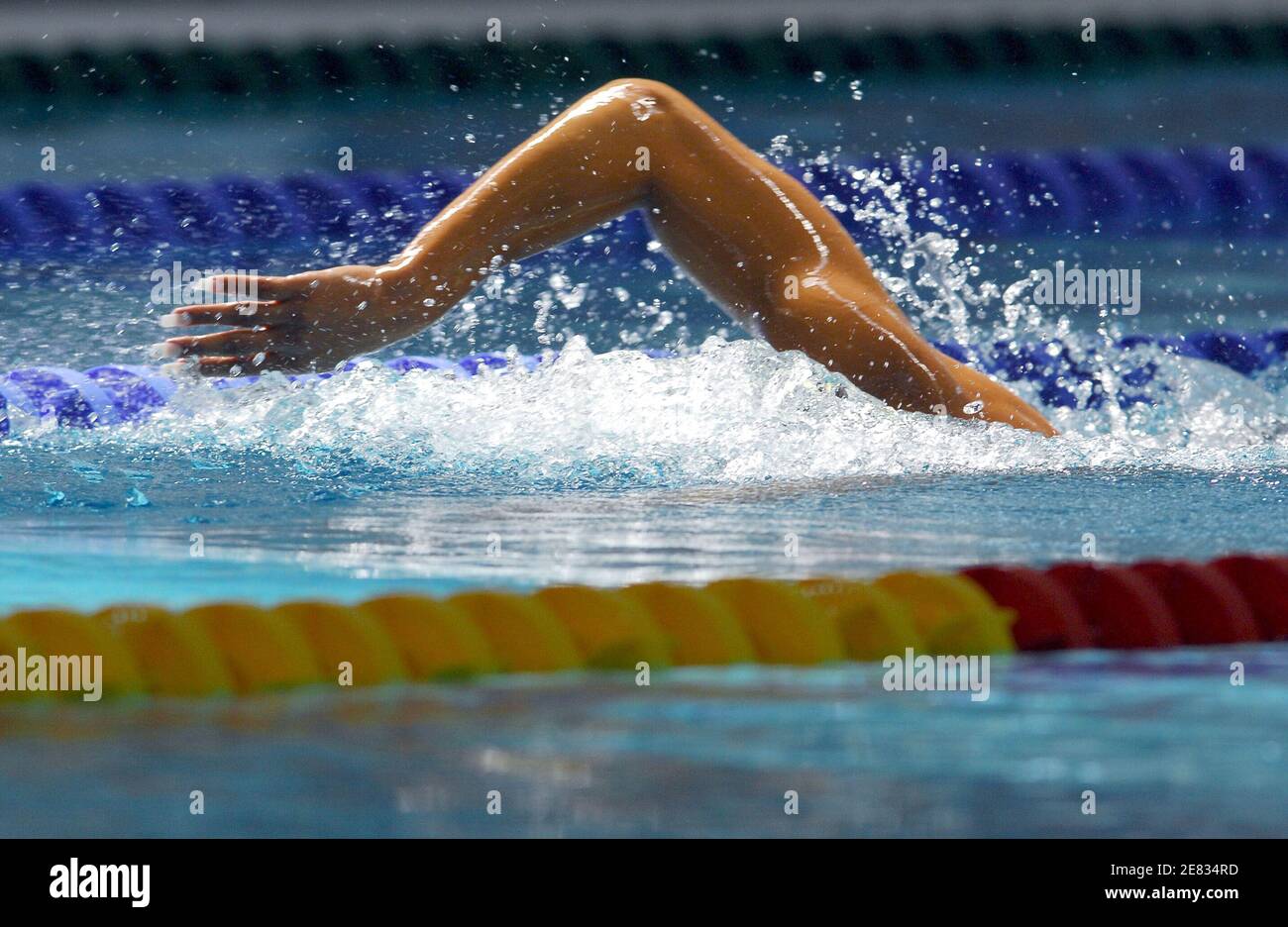 Atmosphere on 800 meters women heat during the French Swimming ...