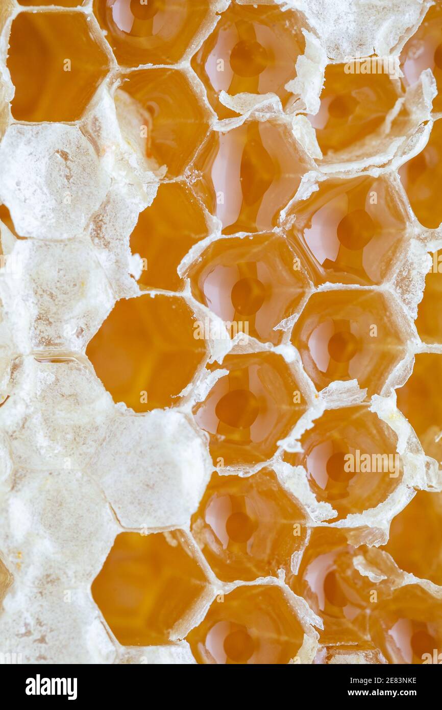 Golden honeycomb hi-res stock photography and images - Alamy