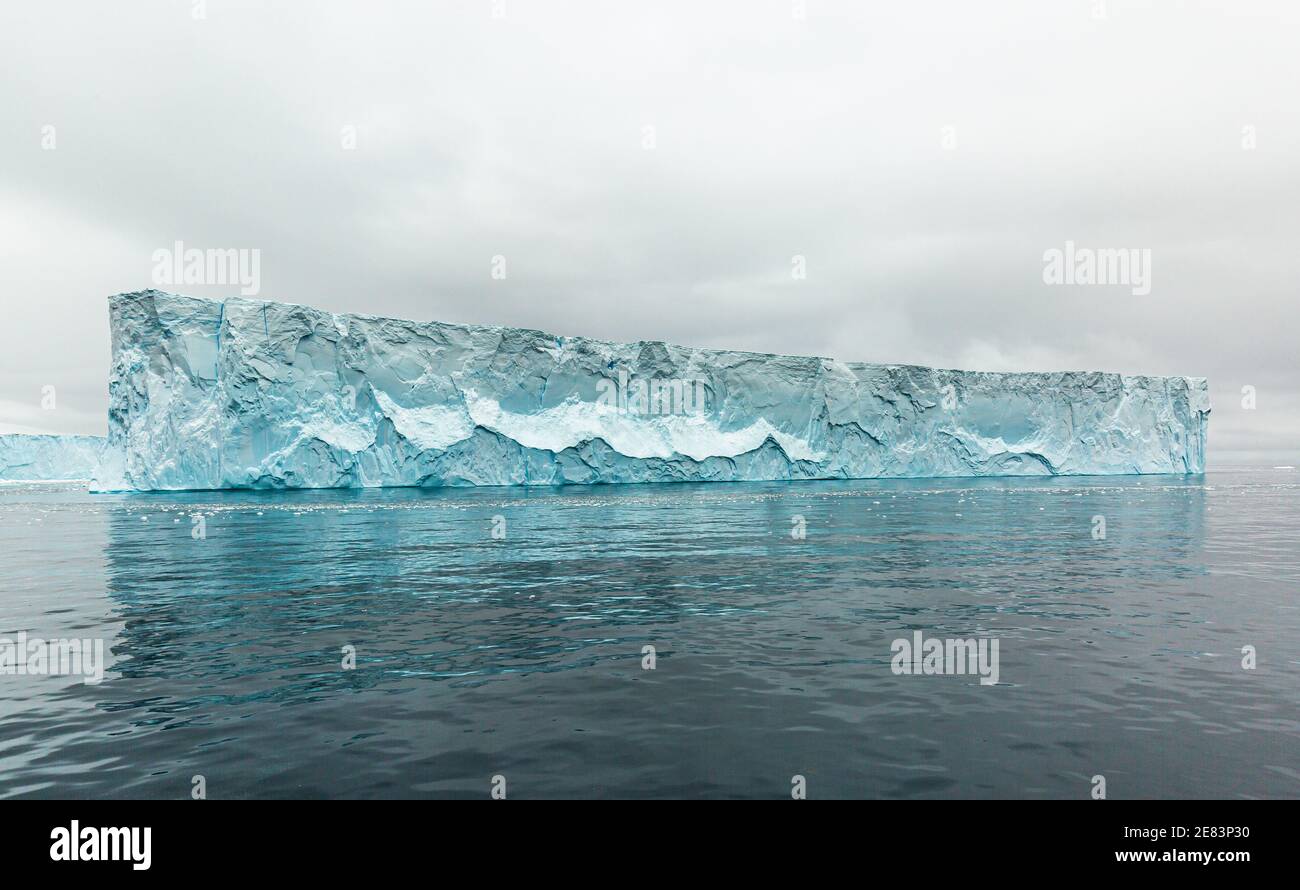 Ghetto penguins hi-res stock photography and images - Alamy