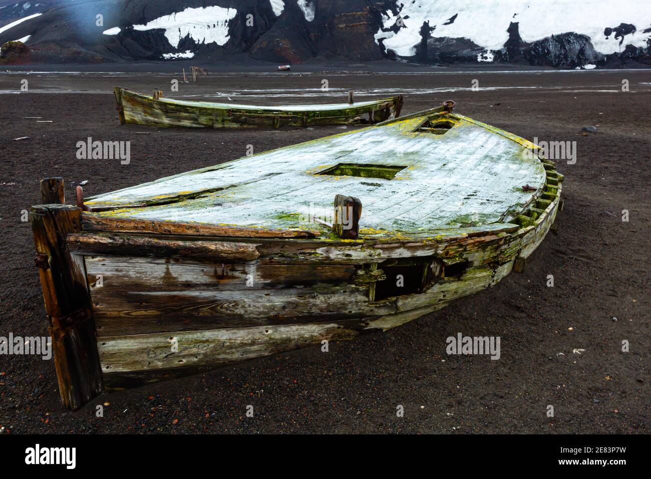 Ghetto penguins hi-res stock photography and images - Alamy