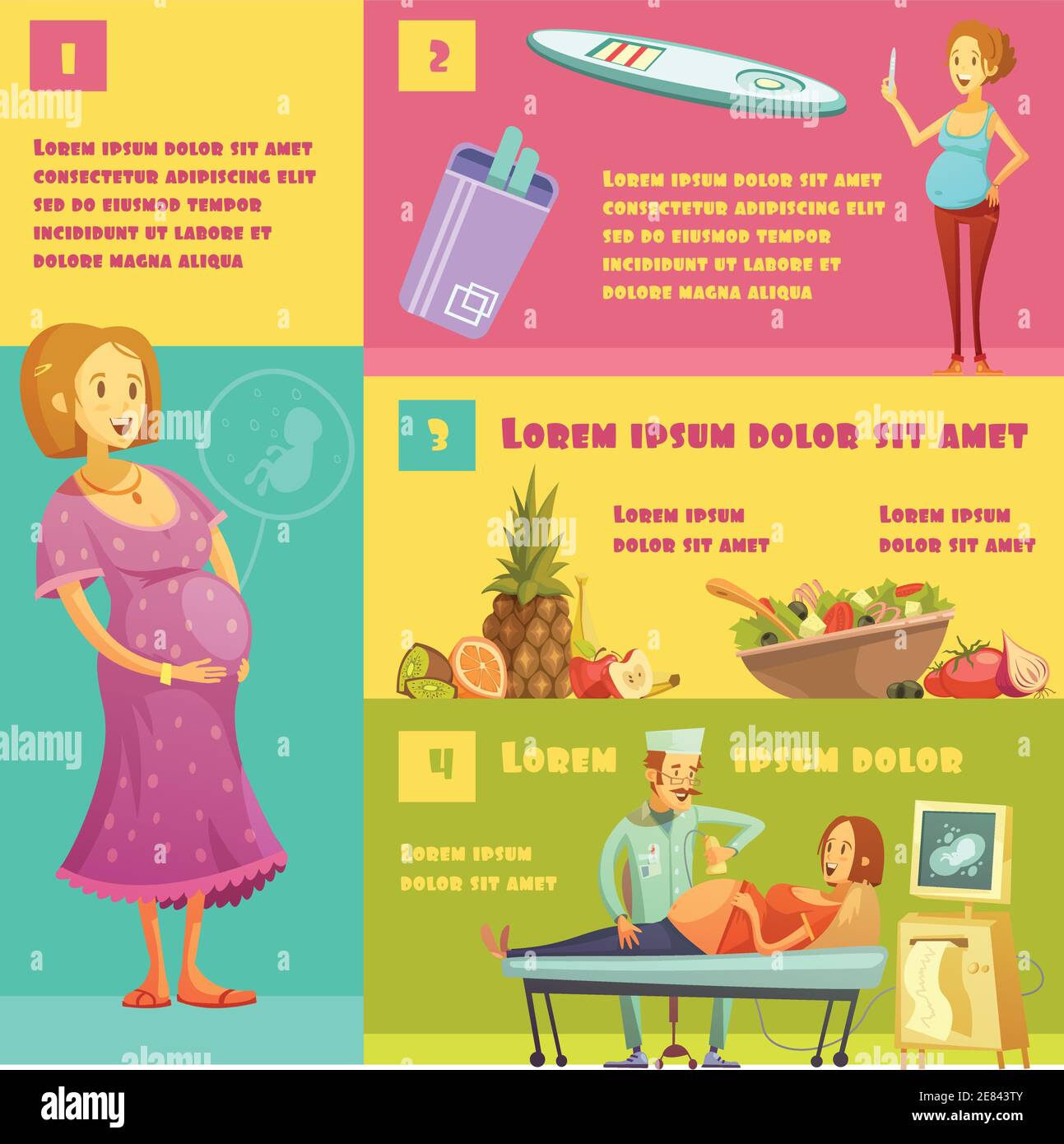 Information on pregnancy stages with test strip kit food advise and ...