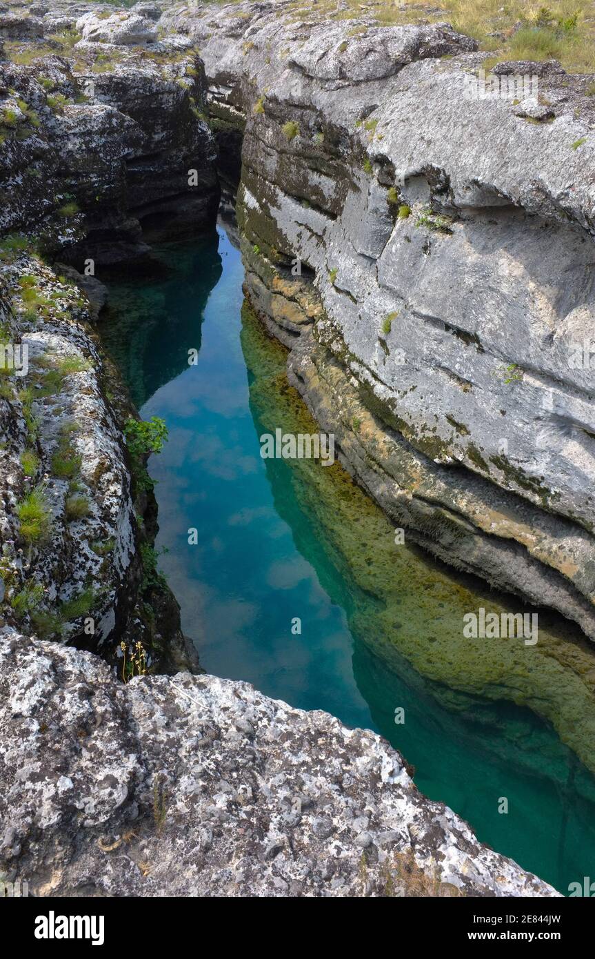 Cijevna River near Podgorica in Montenegro Stock Photo - Alamy