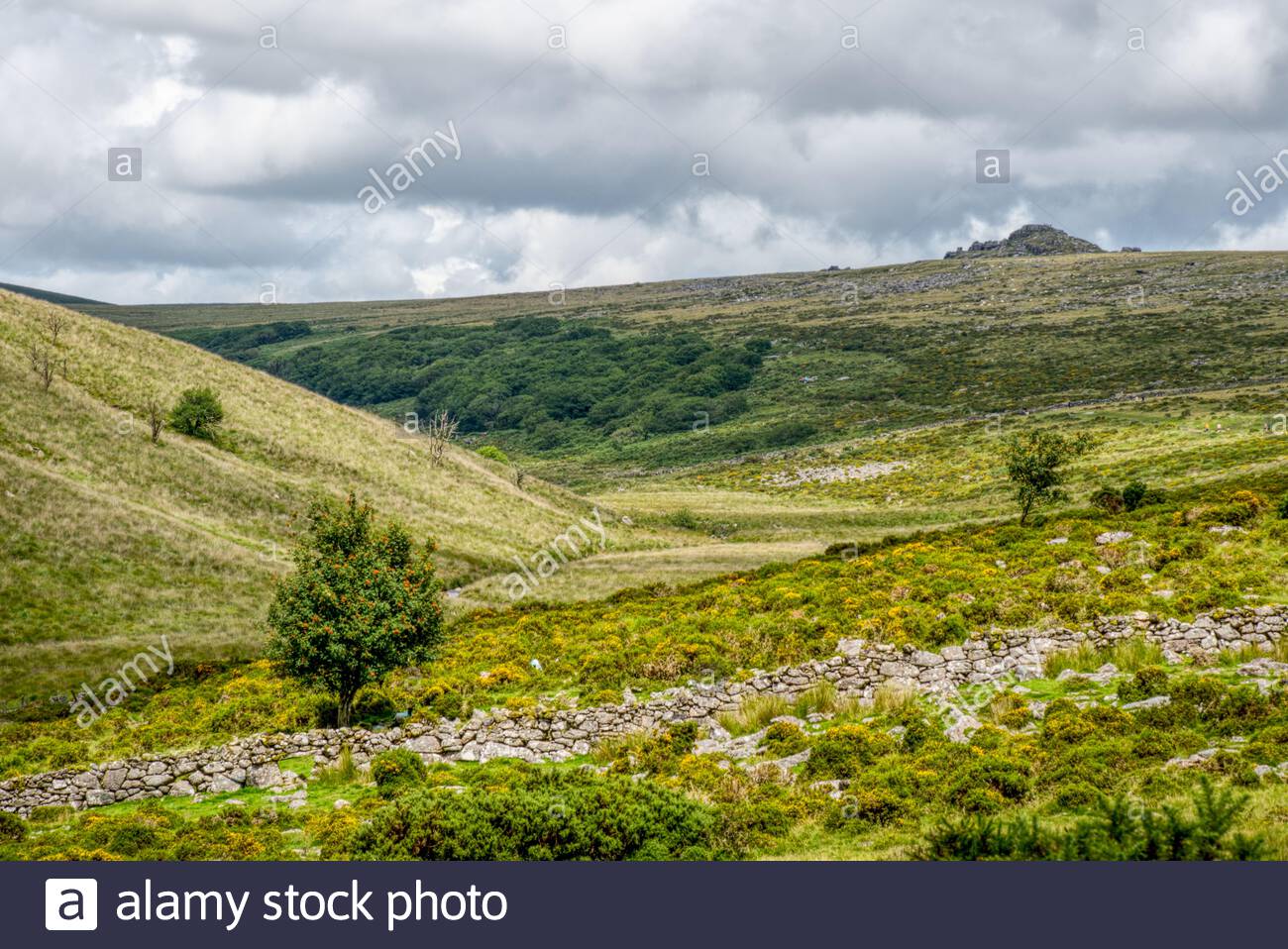 Devon Moorland High Resolution Stock Photography and Images - Alamy
