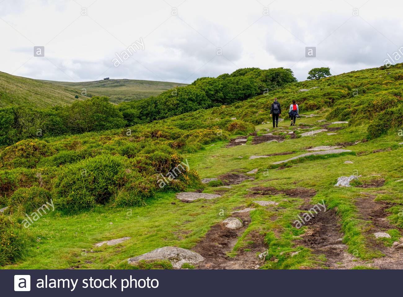 Dartmoor Prison Dartmoor Devon England High Resolution Stock ...