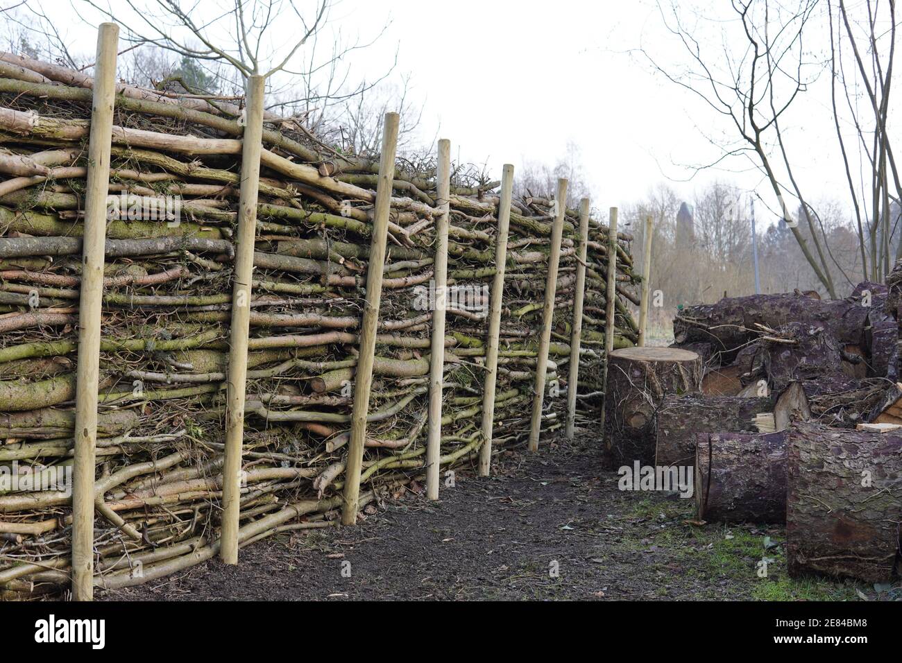 Natural Hedge from Dead Wood Benjes Hedge Stock Photo - Alamy