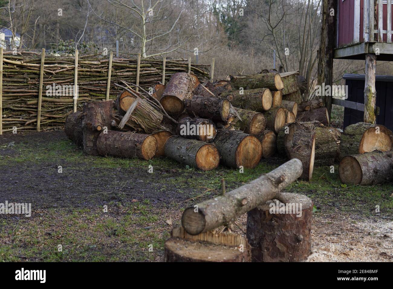 Log pile garden pine hi-res stock photography and images - Alamy