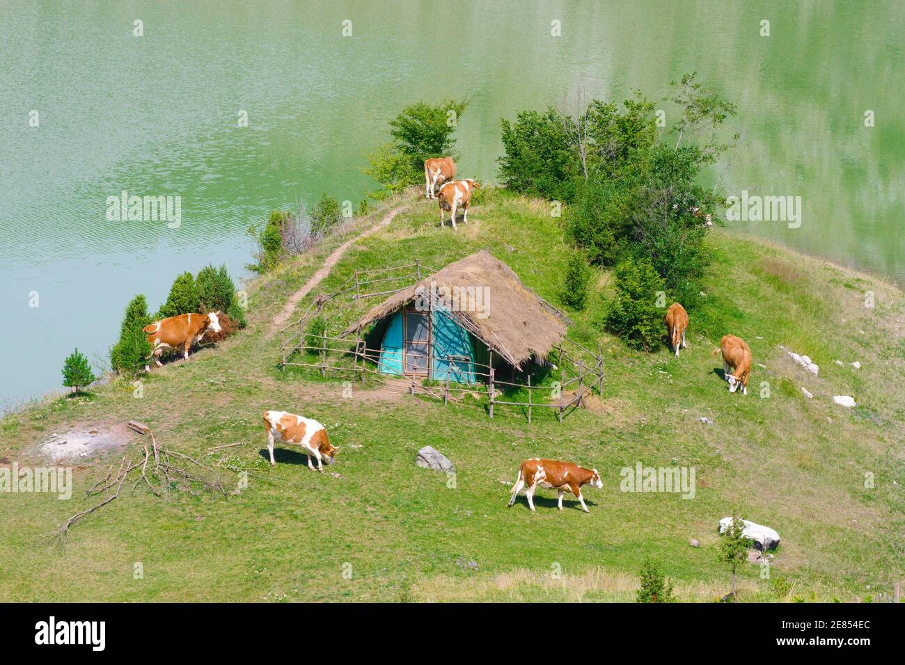 Green vegetation along bank hi-res stock photography and images - Alamy