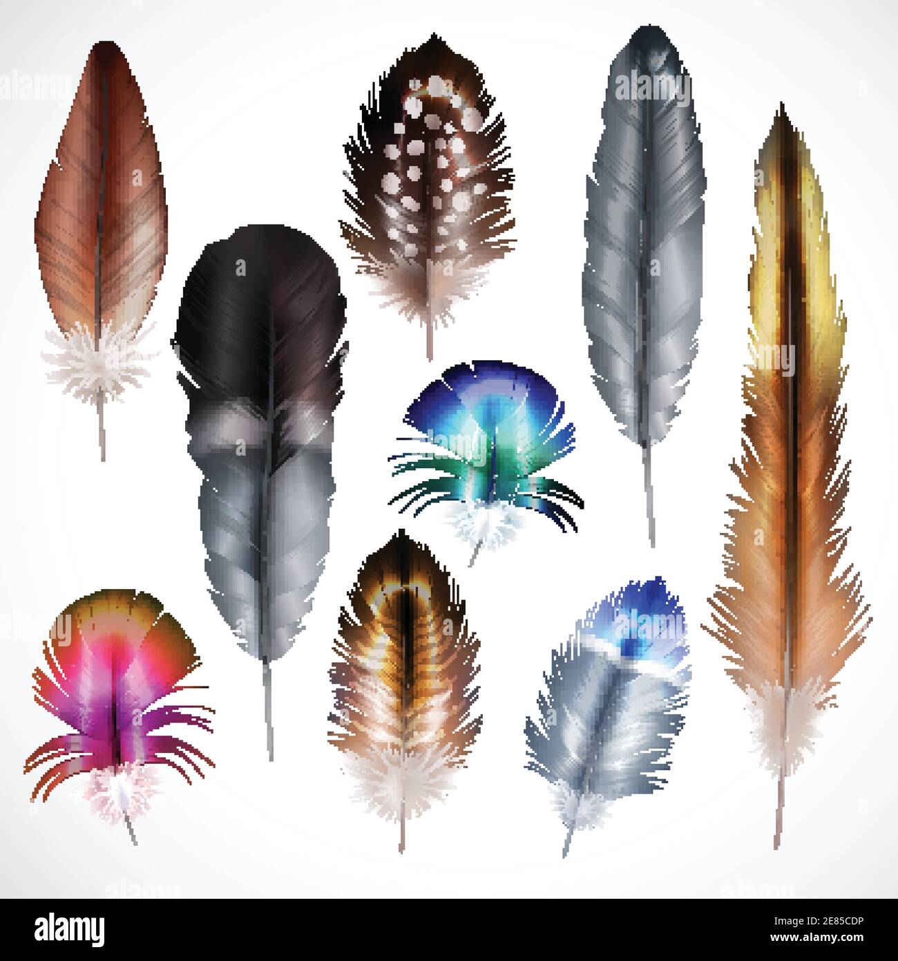 Beautiful colorful small and big bird realistic feathers set isolated ...