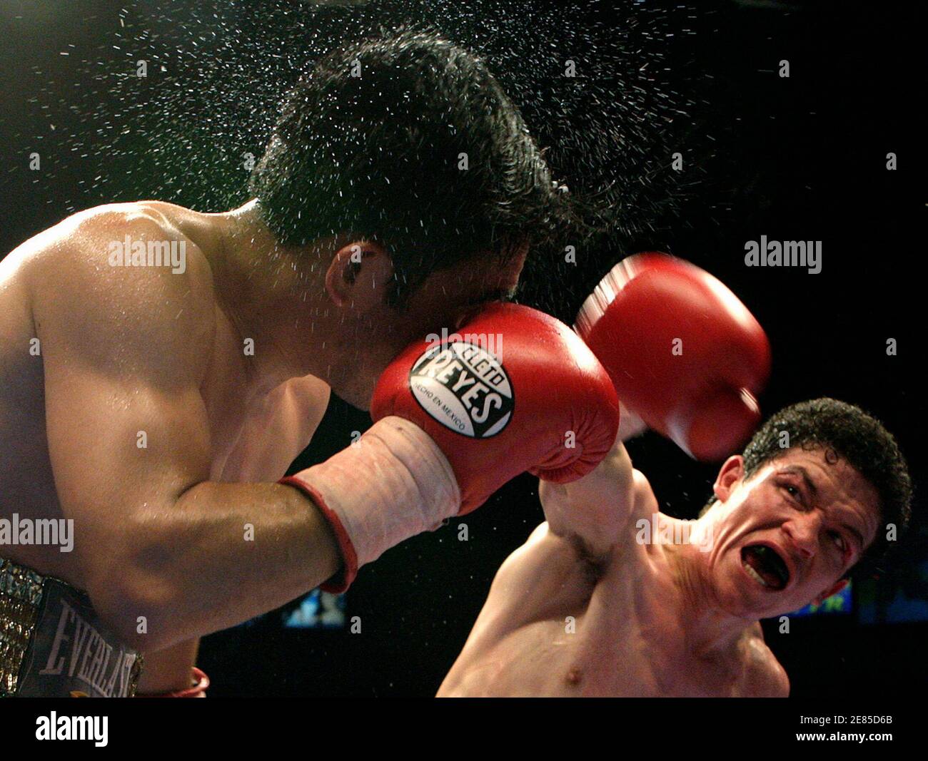 Viloria hi-res stock photography and images - Alamy