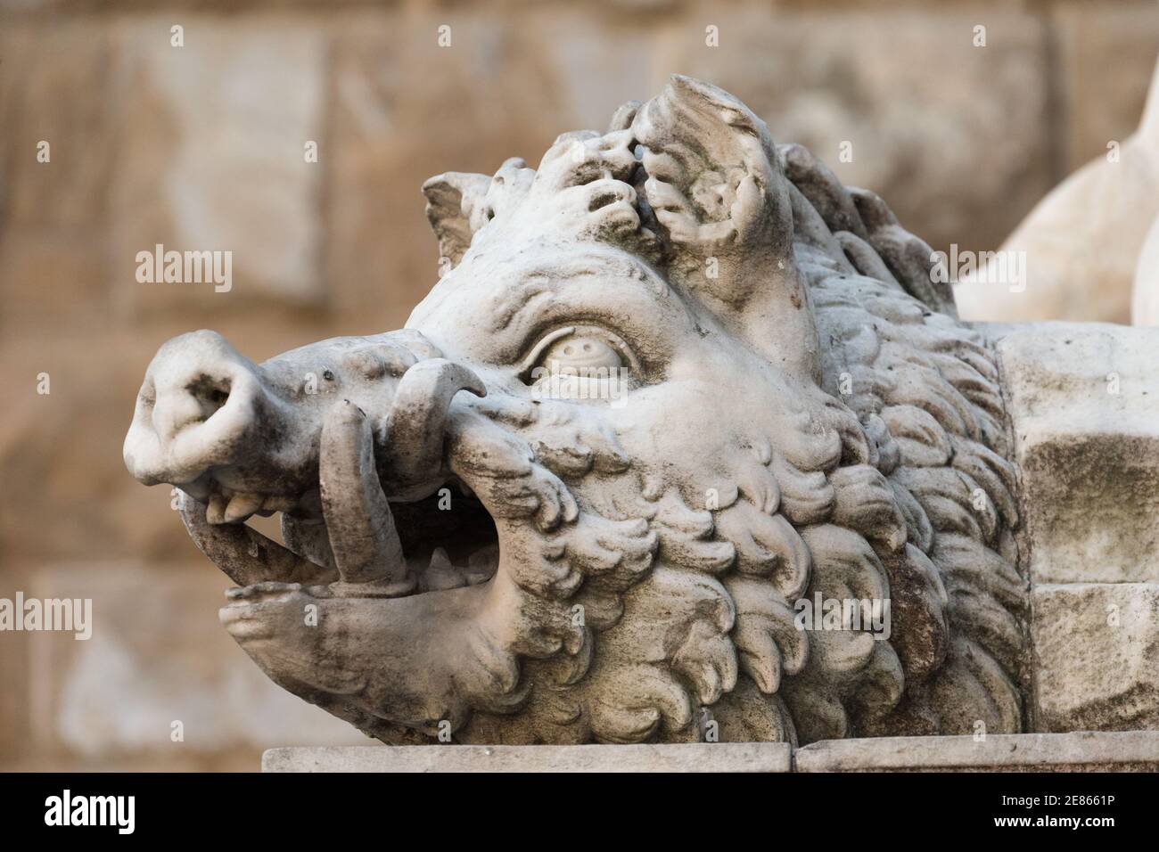 Florence, Italy Boar statue in front of The Palazzo Vecchio Stock Photo ...
