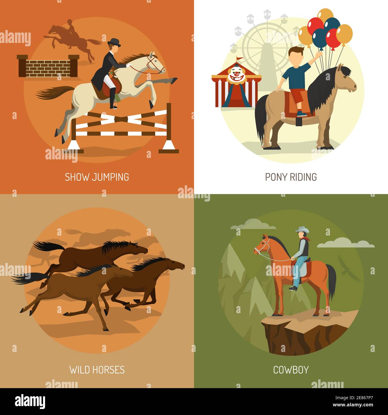 Horse breeds illustration Stock Vector Images - Alamy