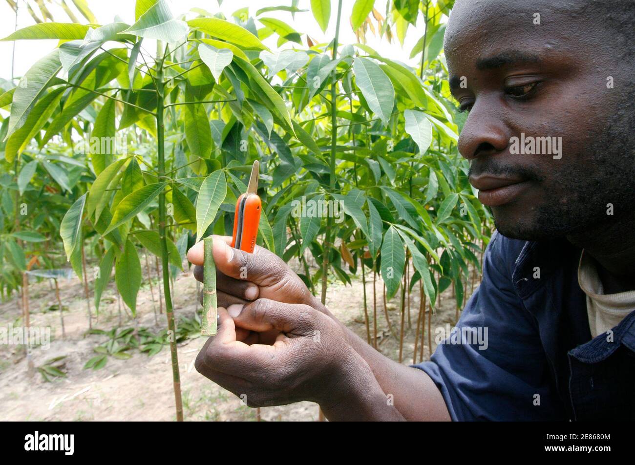 Here from a laboratory hi-res stock photography and images - Alamy