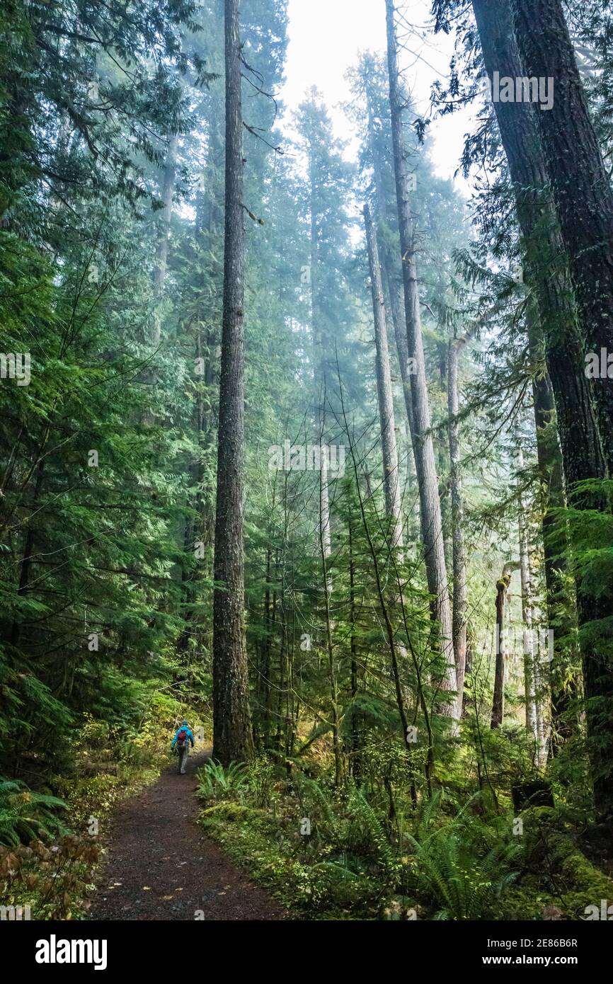 Old staircase person hi-res stock photography and images - Alamy