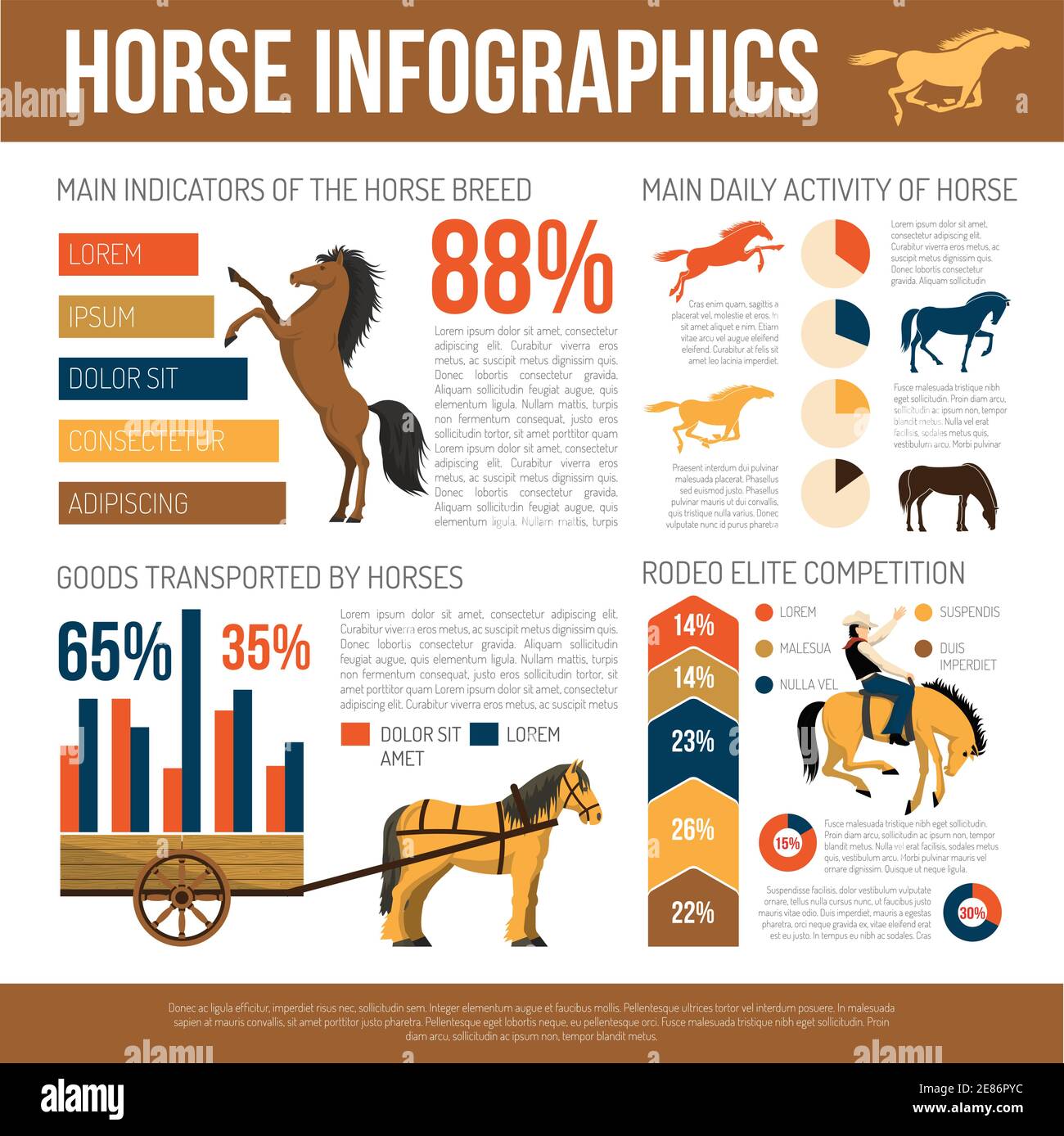 Popular horse breeds infographic poster with characteristics uses ...