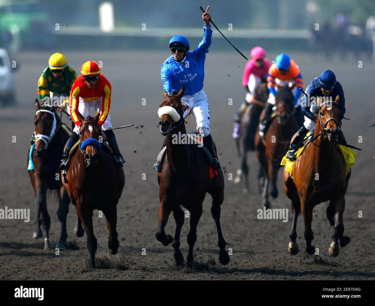 Goose harness hi-res stock photography and images - Alamy