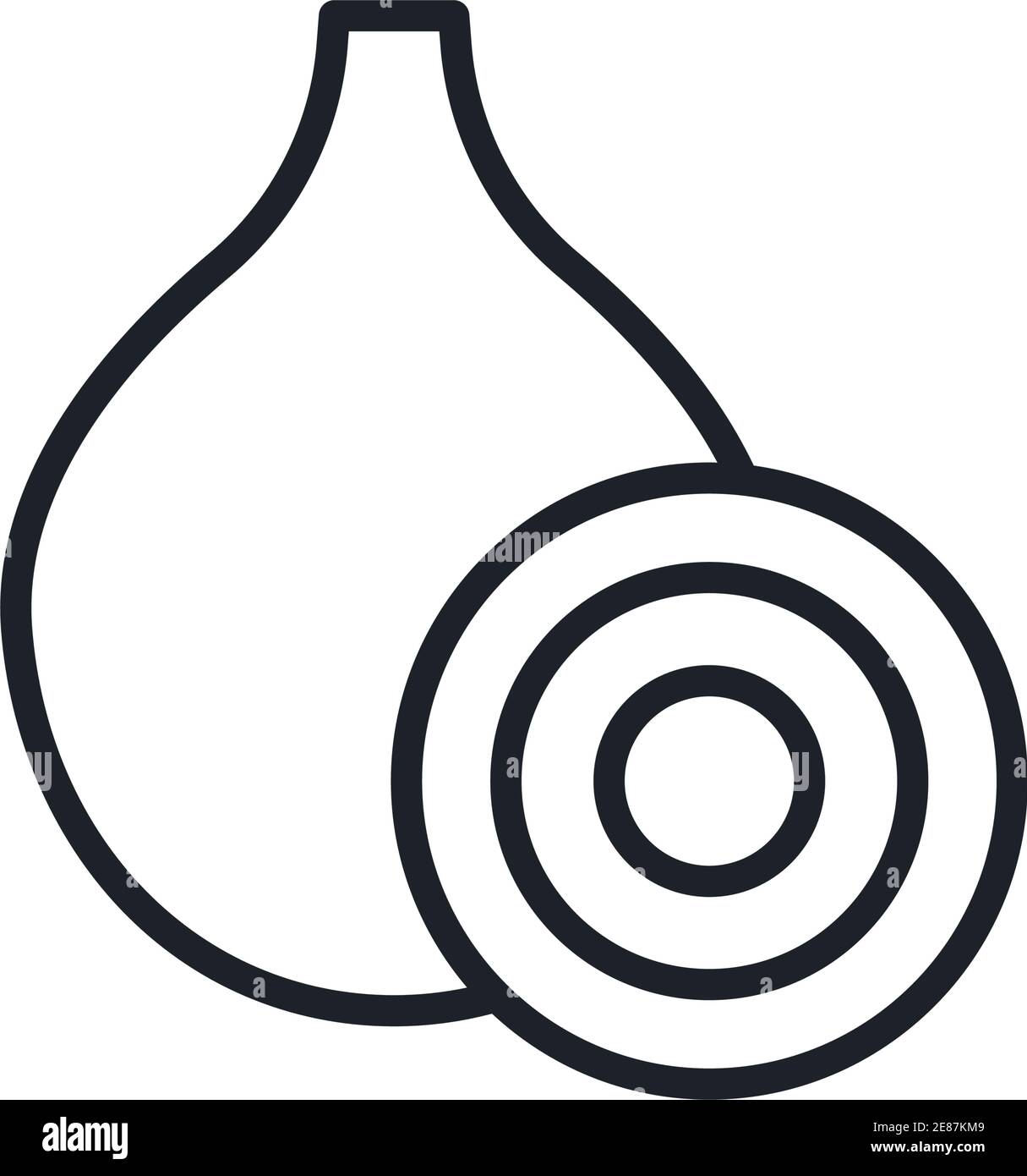 Onion icon. Vector isolated linear icon, contour, shape, outline. Thin ...