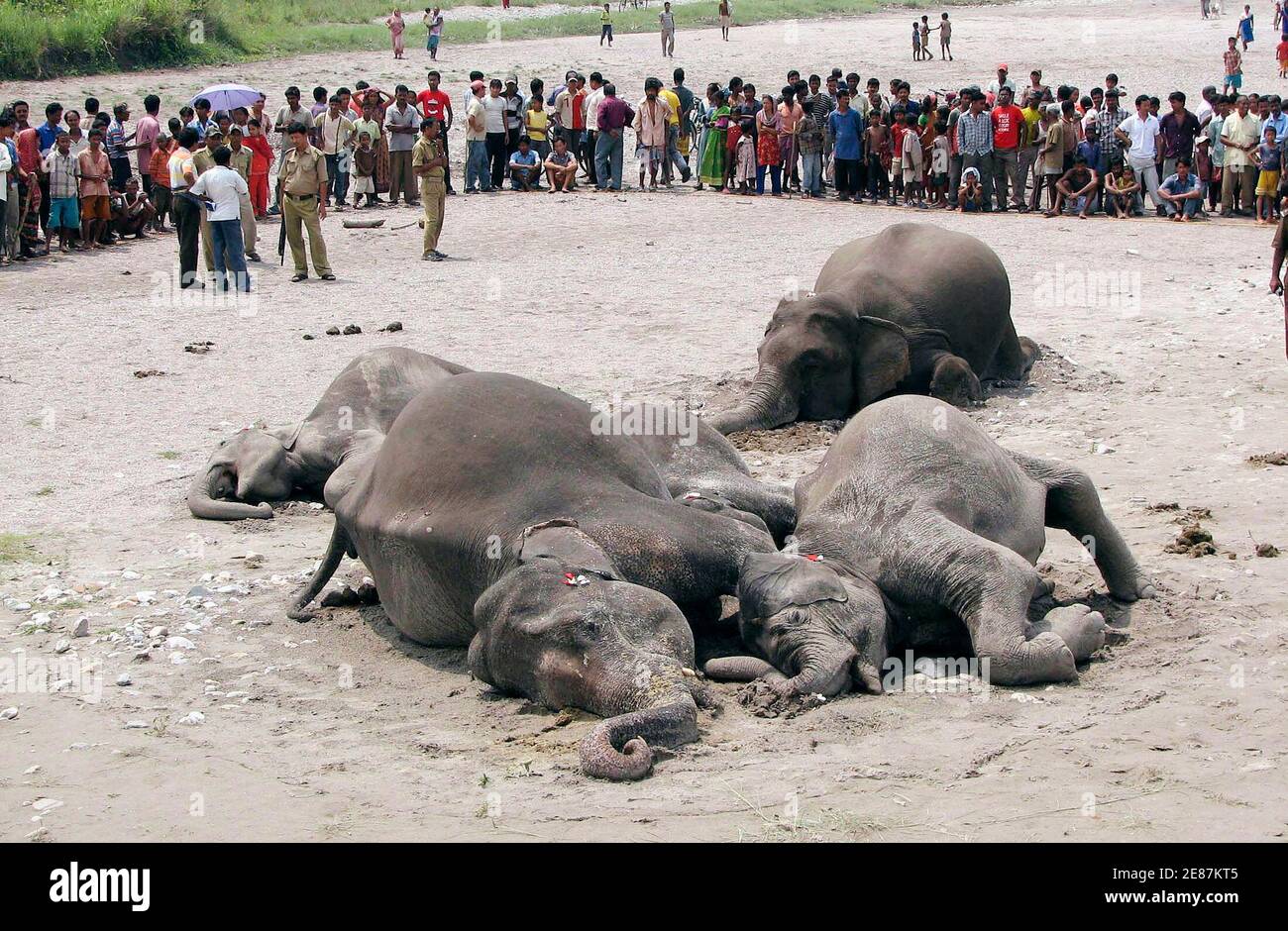 Dead bodies in river hi-res stock photography and images - Alamy