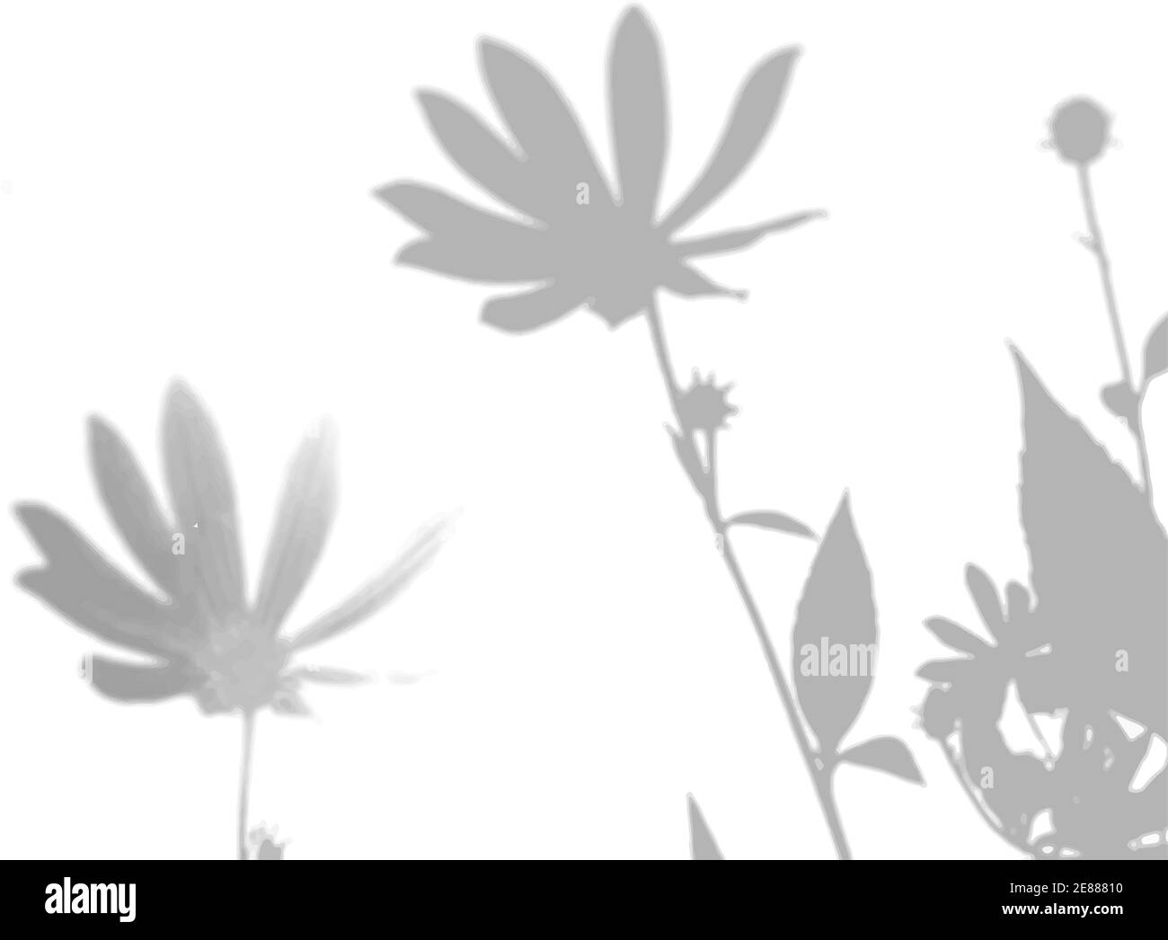 Jerusalem botanical garden Stock Vector Images - Alamy