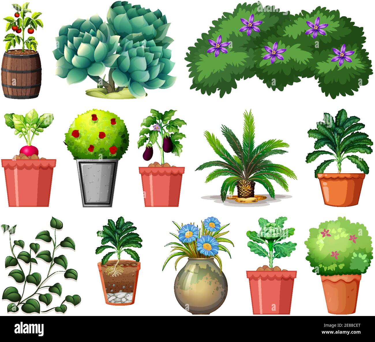 Set of different plants in pots isolated on white background ...