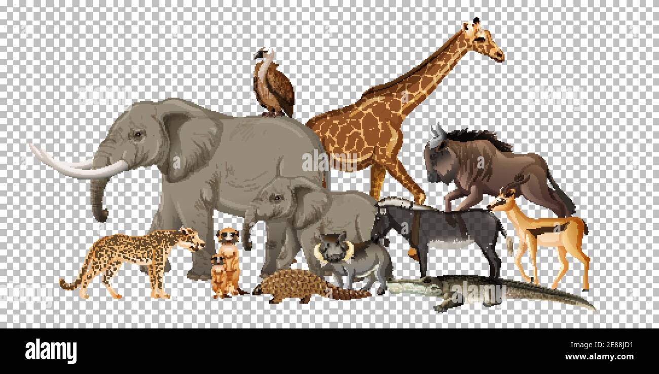 Group of wild african animal on transparent background illustration ...