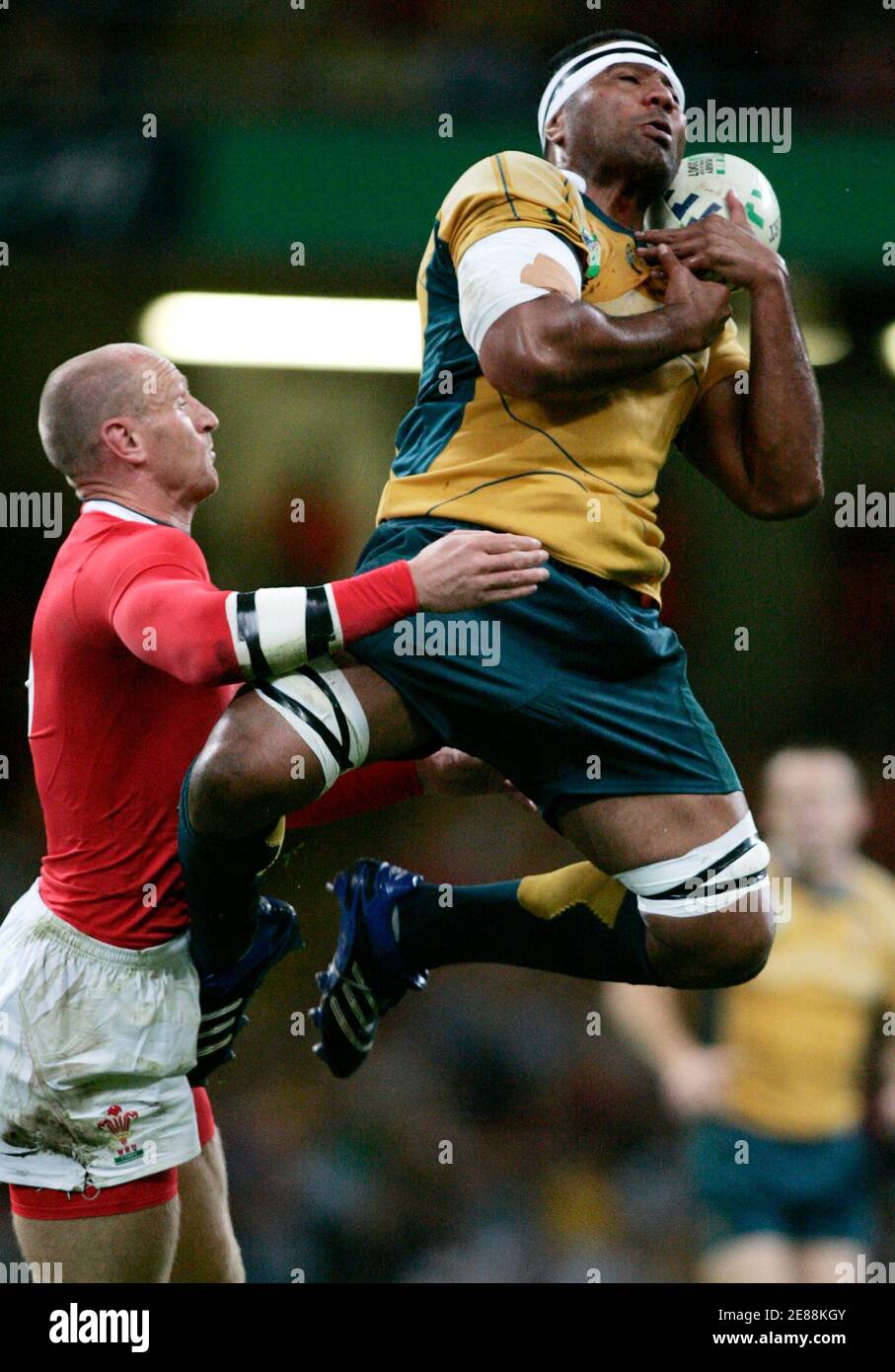 Australias wycliff palu hi-res stock photography and images - Alamy