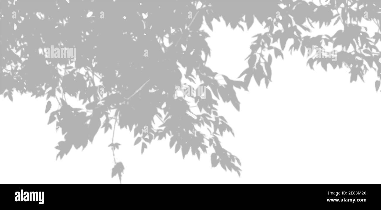 Overlay shadow on white Stock Vector Images - Alamy