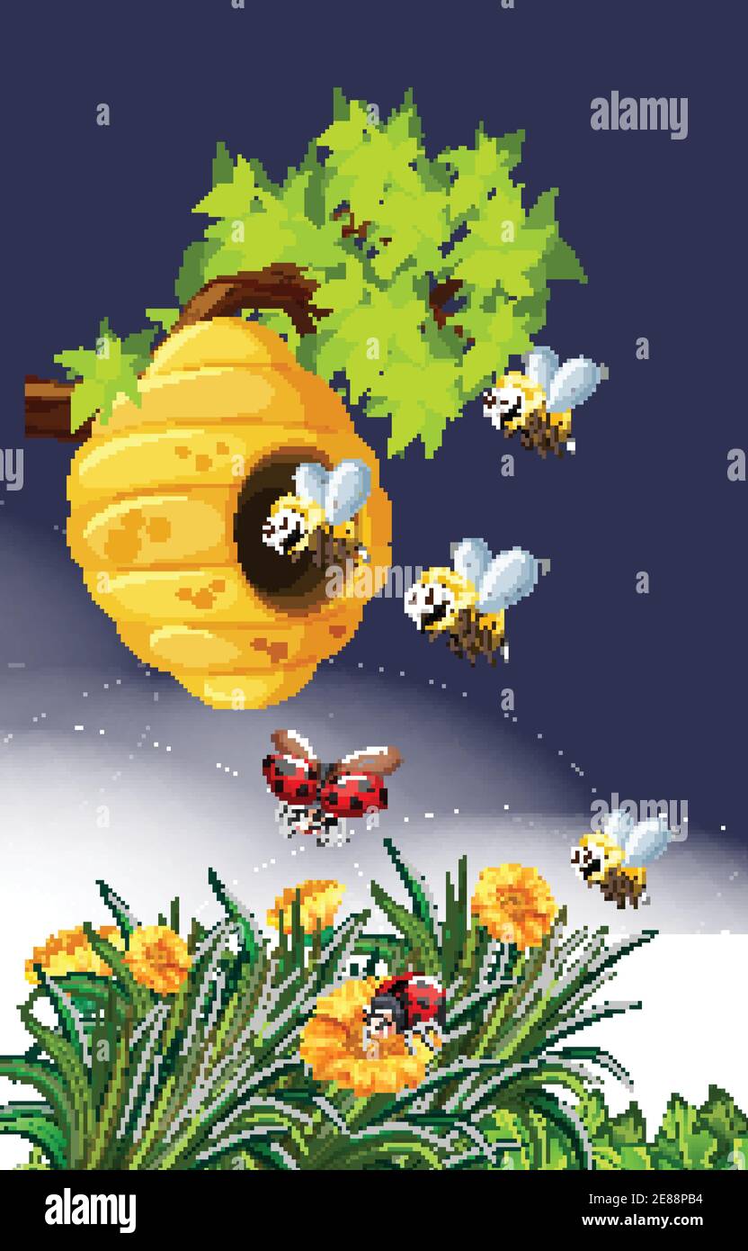 Bee and ladybug in nature illustration Stock Vector Image & Art - Alamy