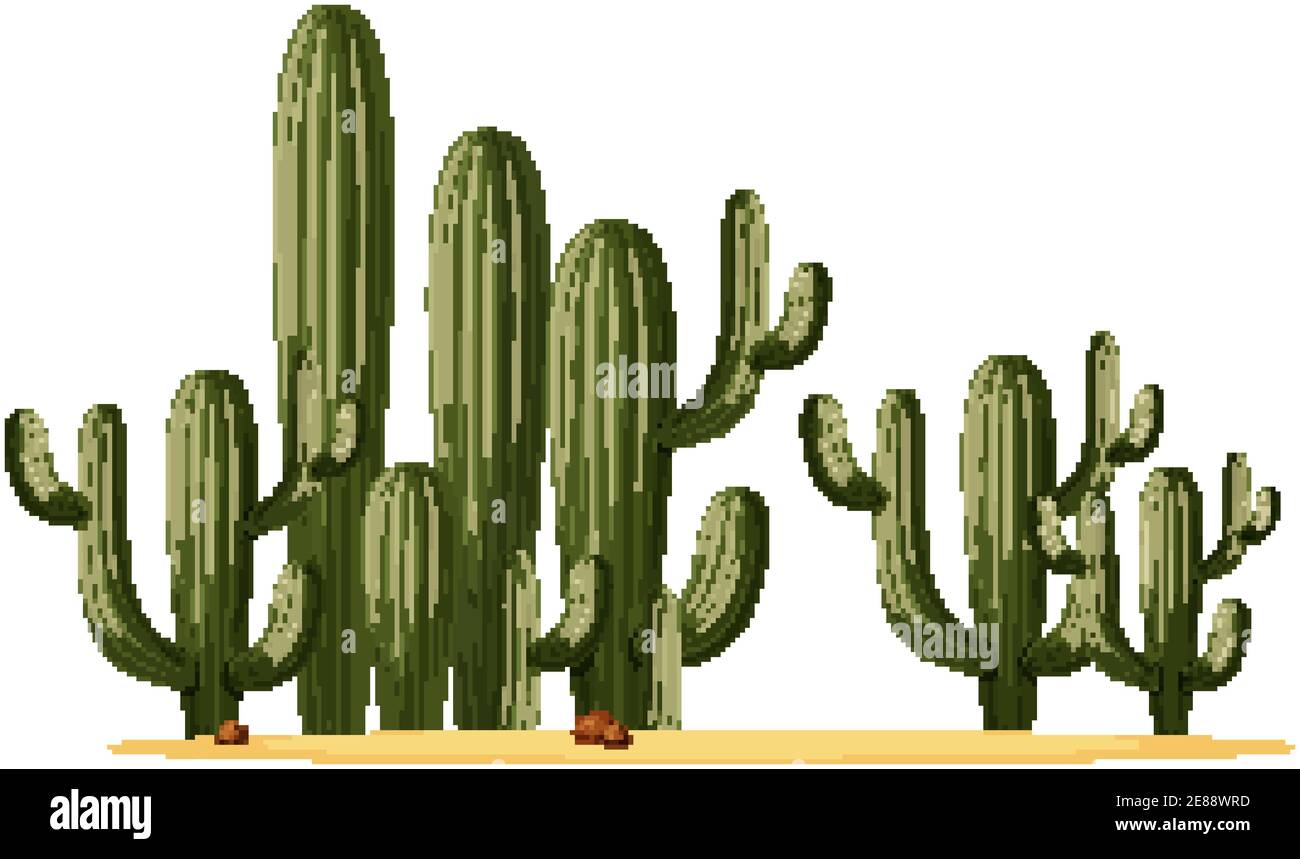 Different shapes of cactus in a group illustration Stock Vector Image ...