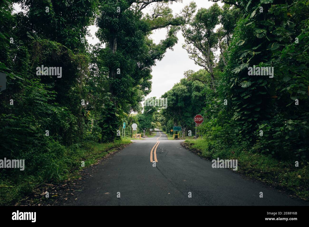 Kalapana kapoho road hi-res stock photography and images - Alamy