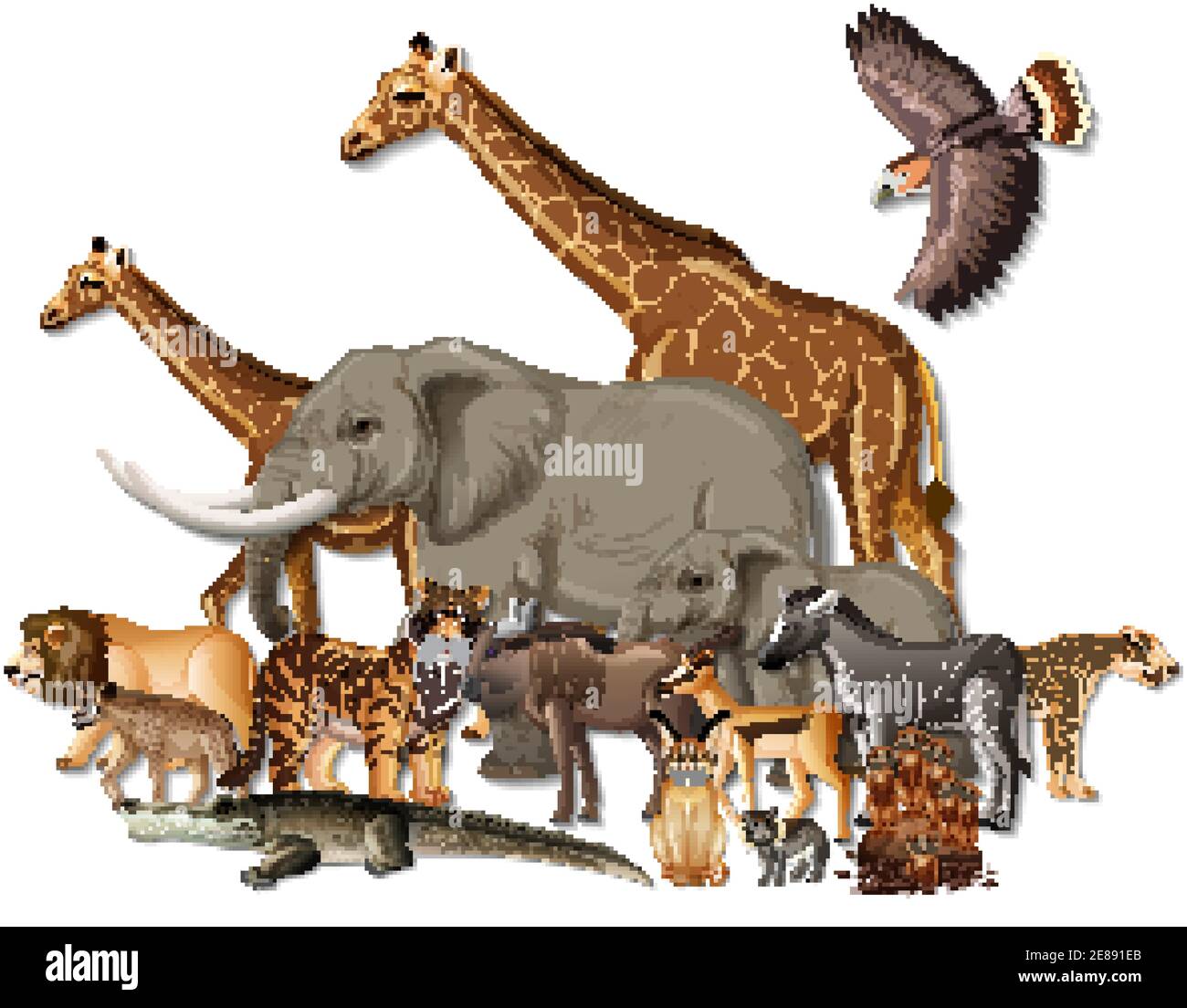 Group of wild African animals on white background illustration Stock ...