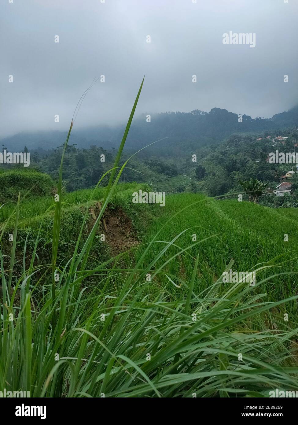 Village of rush hill hi-res stock photography and images - Alamy
