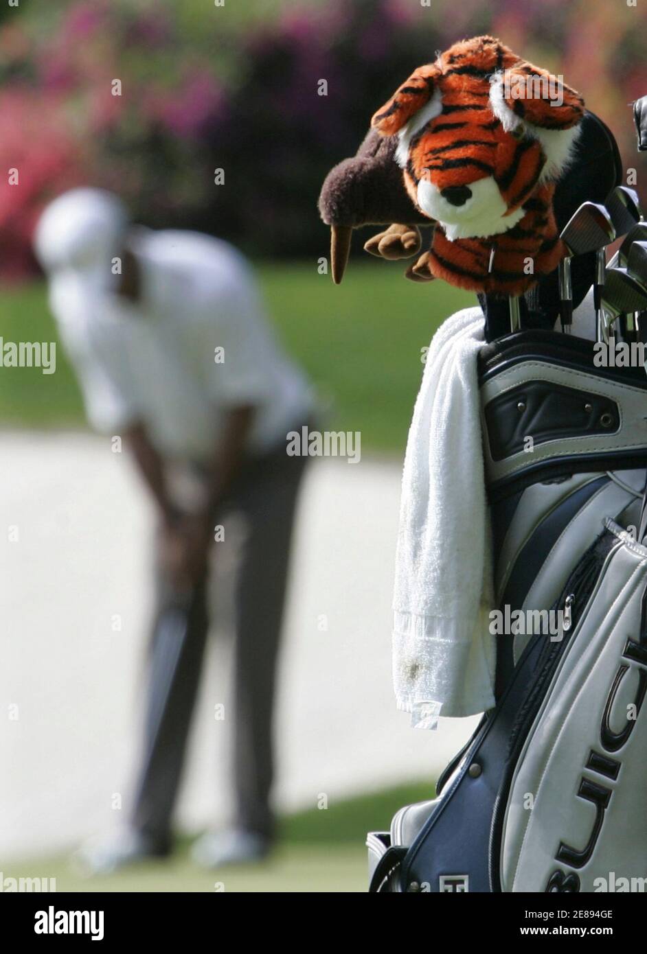Tiger golf head cover hi-res stock photography and images - Alamy