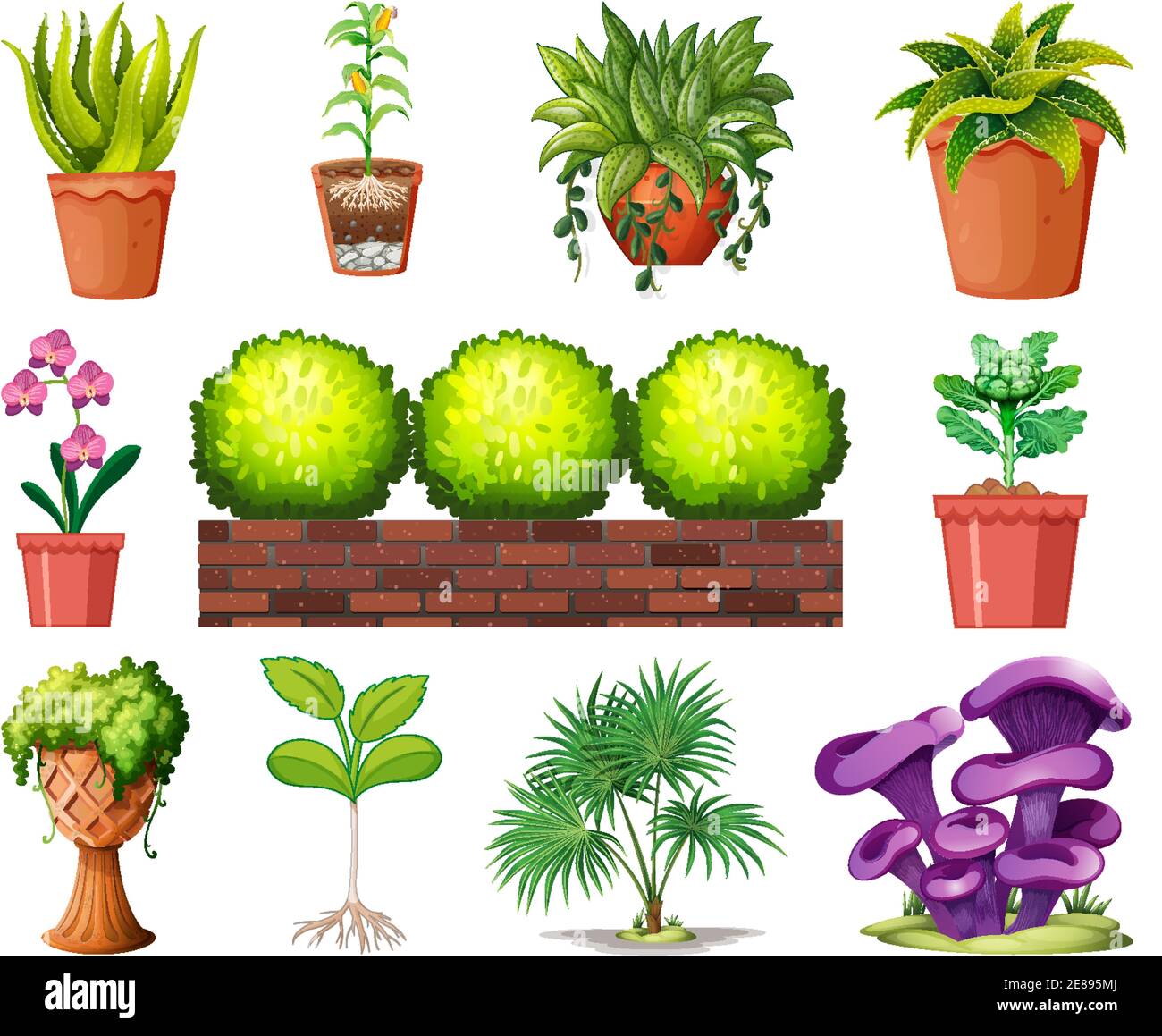 Set of different plants in pots isolated on white background ...